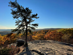 11 Hikes to Try in New Jersey: Best Hiking Spots in North Jersey