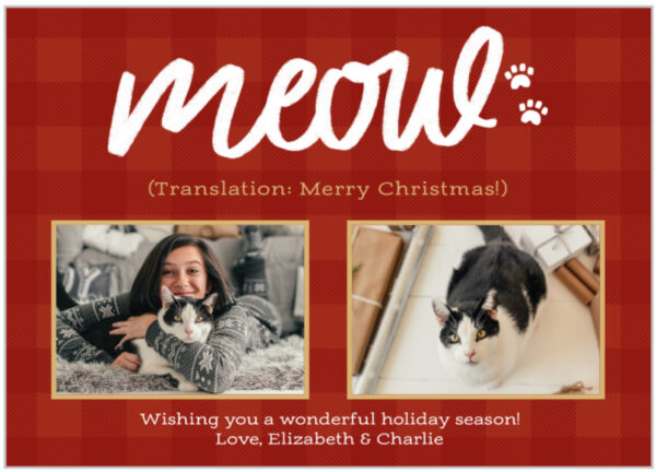 Where To Order Customizable Holiday Cards: Basic Invite